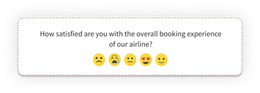Airline Passenger Satisfaction Surveys: Questionnaire, Best Practices ...