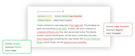 Emotion Detection: Deriving Sentiments from Customer Feedback